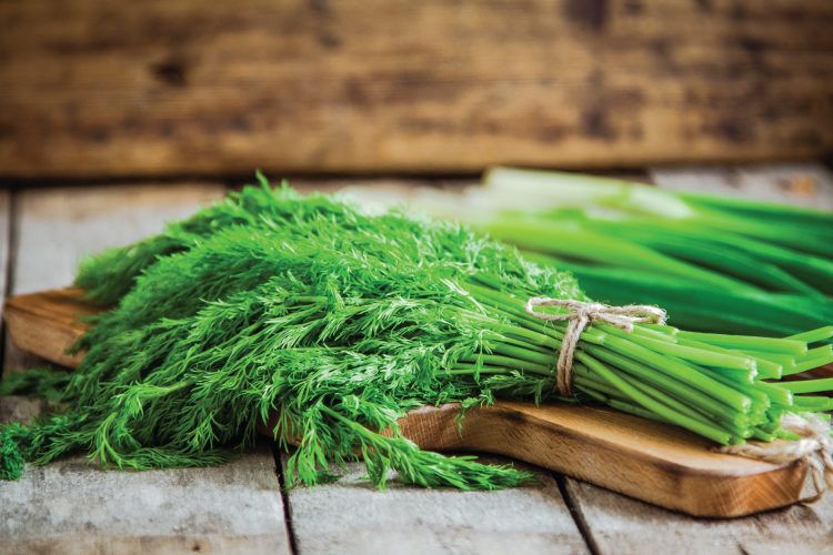 Expert Advice: 9 Indian Herbs Kitchen Options & How to Grow Them