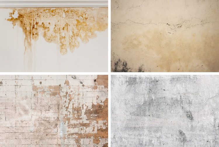 How To Clean Distemper Painted Walls