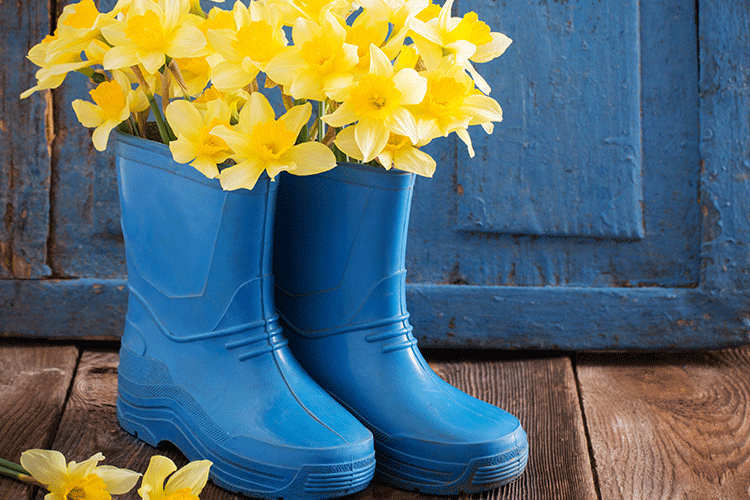 7 Quick Monsoon Decor Ideas To Brighten Up Your Home