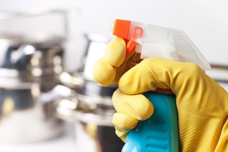 8 Tips That Will Ensure You Have a Termite-Free Kitchen