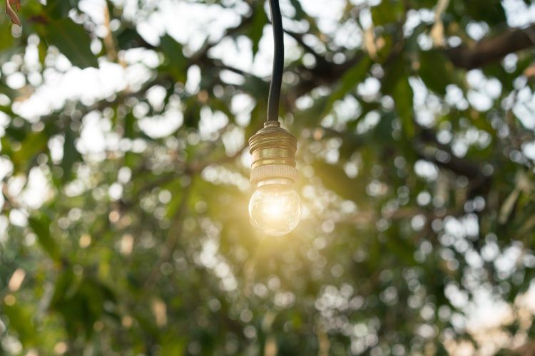 Trending Lights to Brighten Up Your Home This Season