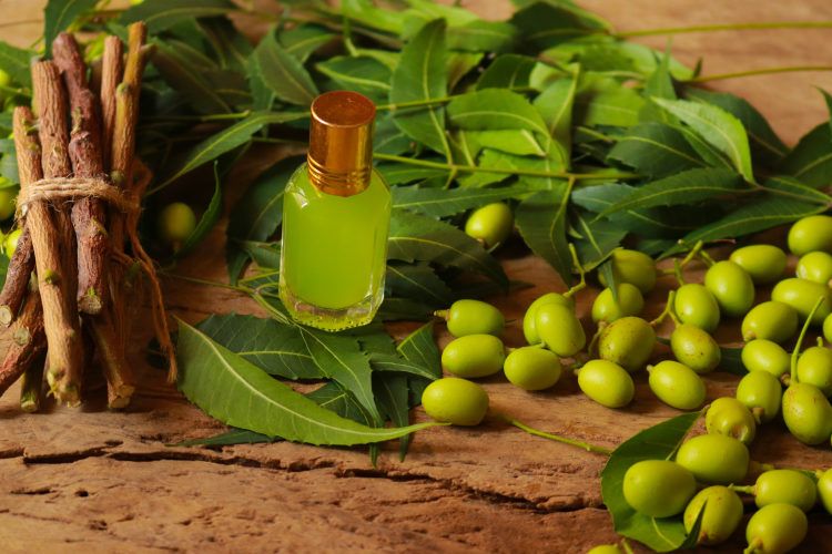 6 Tips: How to Get Rid of Cockroaches From Your Home Remedies