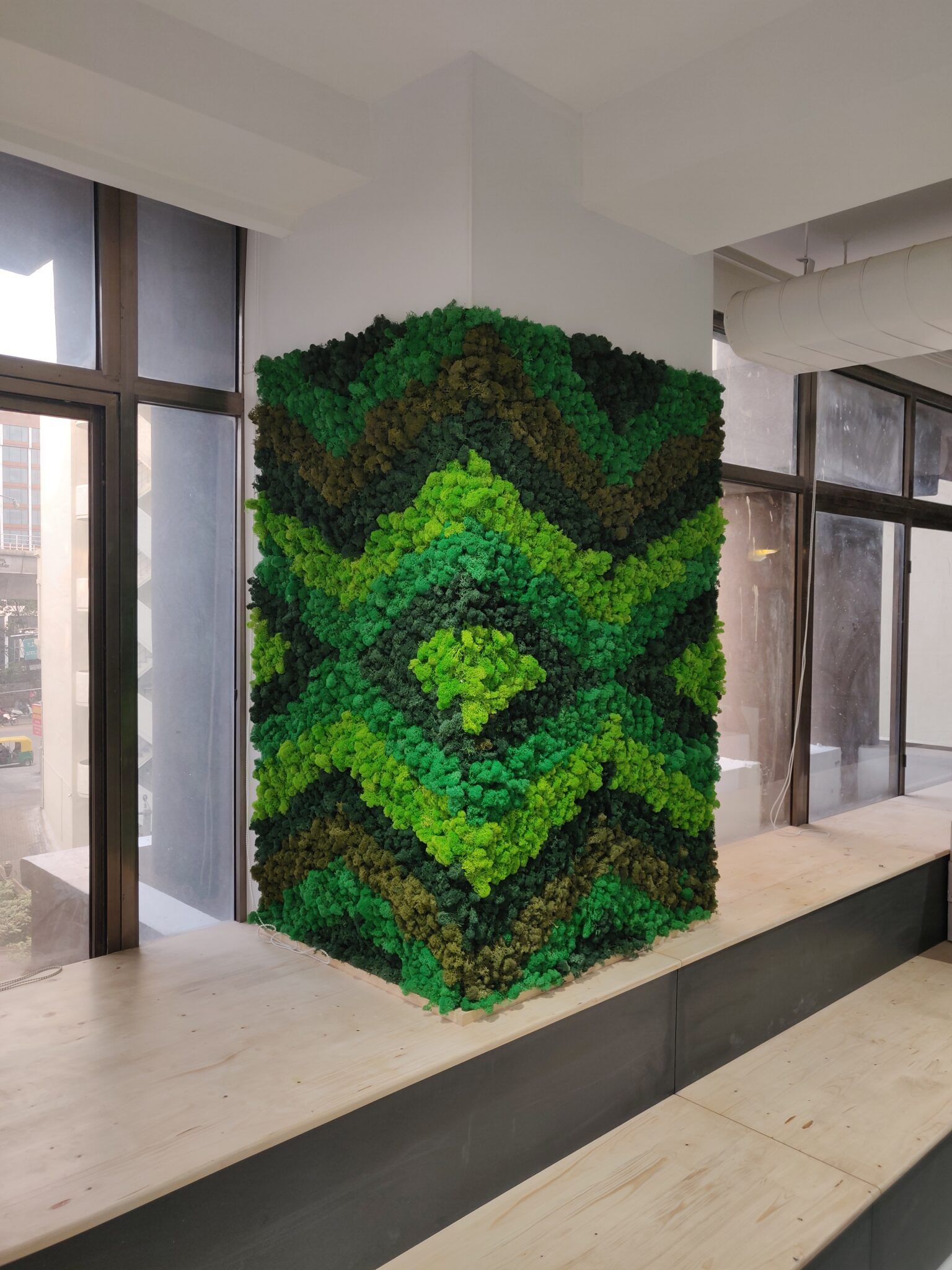 Moss Frame: 5 Reasons Why You Should Opt for Moss