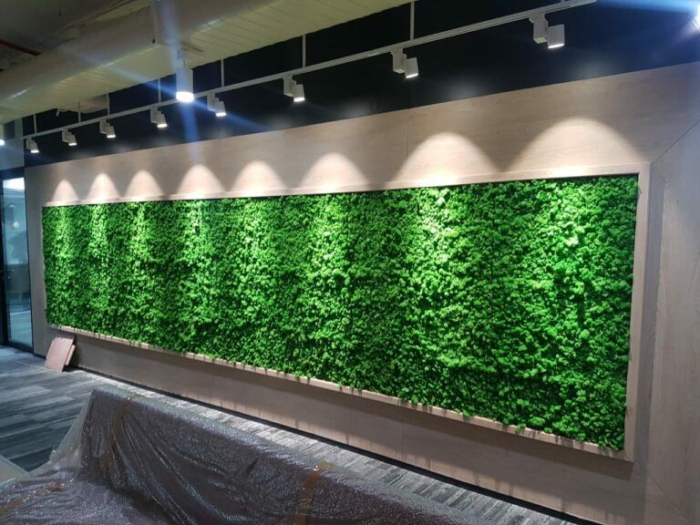 Moss Frame: 5 Reasons Why You Should Opt for Moss