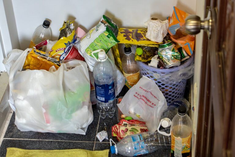 6 Home Remedies to Say Goodbye to Cockroaches Once and for All