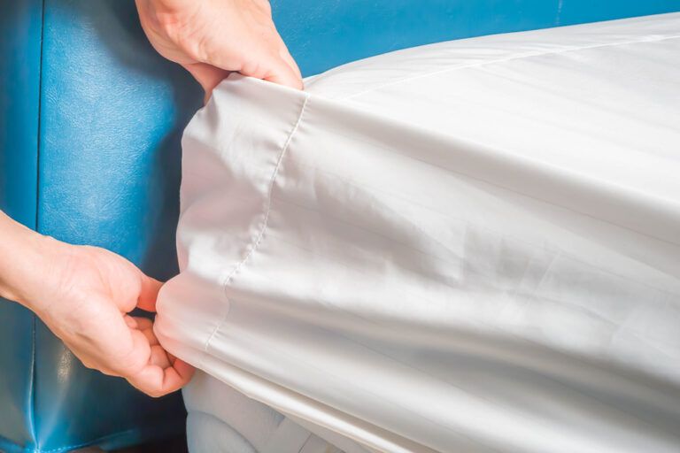 How to Get Rid of Bed Bugs? A Step-By-Step Guide