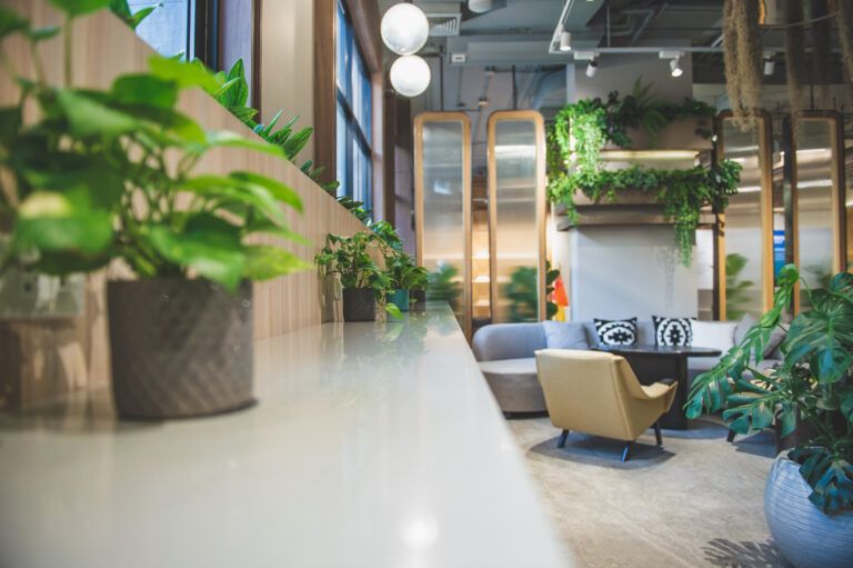 The Benefits of Biophilic Design in Offices | Livspace For Business