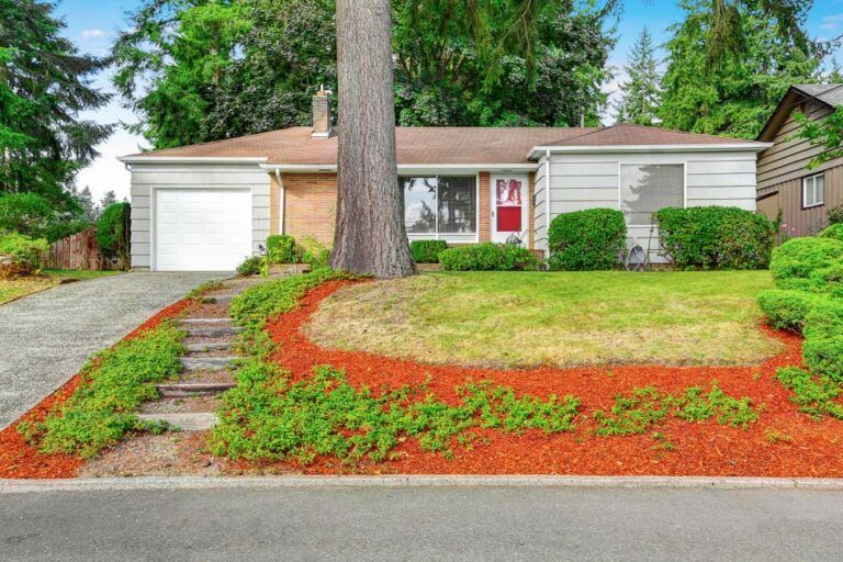 Single Floor House Design Ideas and Front Elevation Plan To Explore