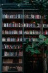 20+ Home Library Design Inspirations for Your Book Nooks