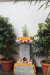 Enhance Your Spiritual Haven: 12 Captivating Home Tulsi Mandir Designs