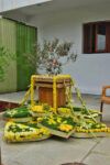 Enhance Your Spiritual Haven: 12 Captivating Home Tulsi Mandir Designs