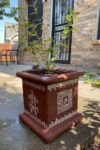 Enhance Your Spiritual Haven: 12 Captivating Home Tulsi Mandir Designs