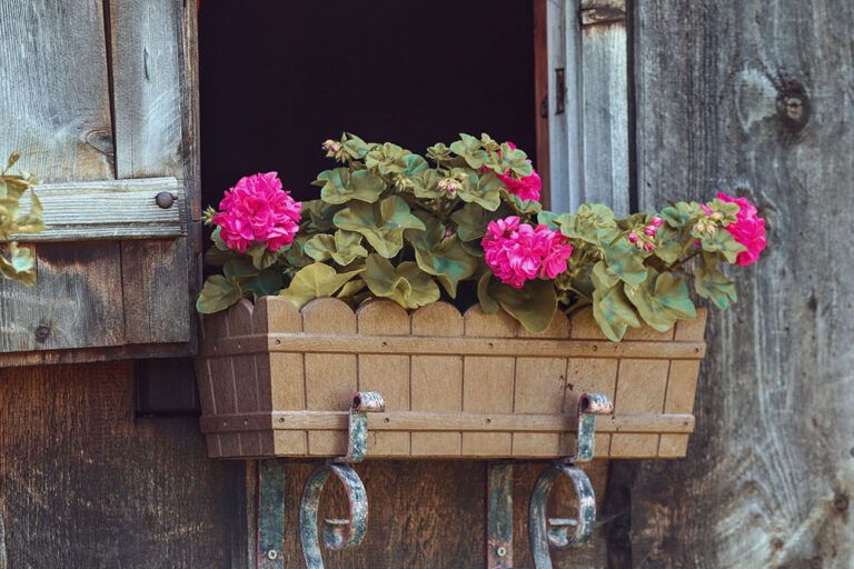 20 Balcony Decor Ideas To Level Up Your Balcony