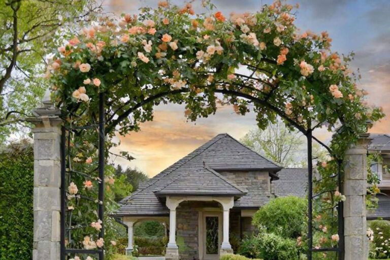 15+ Unique & Architectural Front Gate Arch Designs for Your Home